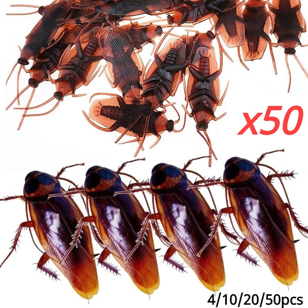 Special Lifelike Model Simulation Fake Rubber Cockroach Roach Bug ...