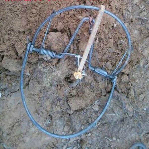 1pcs 20cm Strong Power Diameter 200mm Eagle trap Head Hold Spring trap ...