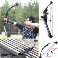 ® Compound Bow Professional Archery Hunting 30-45 Lbs Draw Weight ...