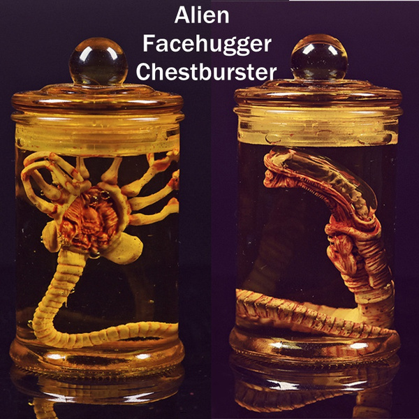 1/6 Scar Predator Alien Predator Alien Larva Face Bug Culture Tank Set ...