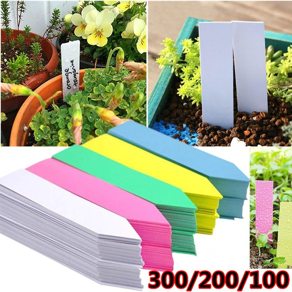 300/200/100 PCS Reusable PVC Plants Hang Tag Labels Tree Fruits ...