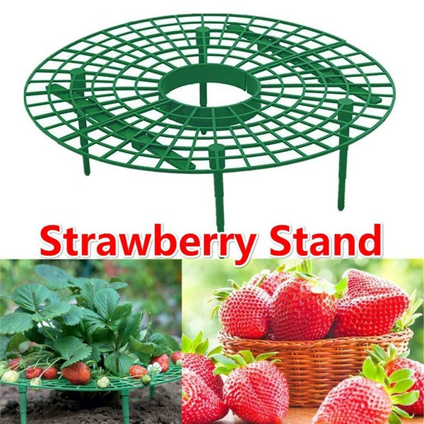 Strawberry trellis strawberry planting trellis climbing vine trellis ...