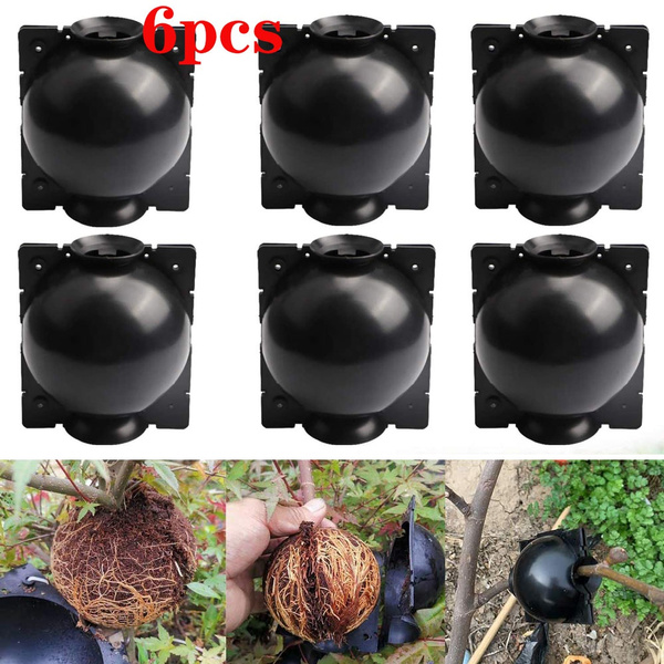 Plant Rooting Device Plant Root Growing Box High-Pressure Propagation ...