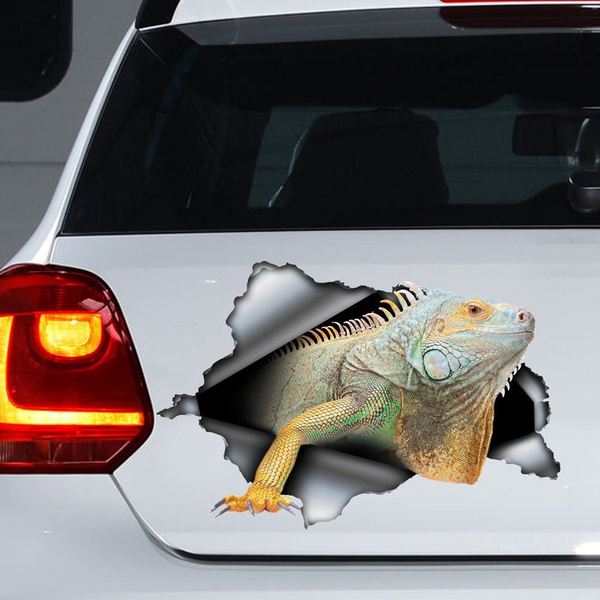Iguana car decal , Iguana car magnet, Iguana sticker | Wish