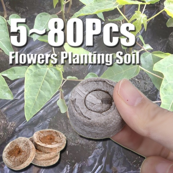 5~80Pcs Peat Pellets Garden Flowers Planting The Soil Block Round Peat ...