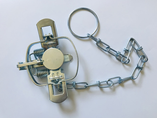 Outdoor Metal Coil Spring Trap for Wild boar Fox Bobcat Vole Skunk ...