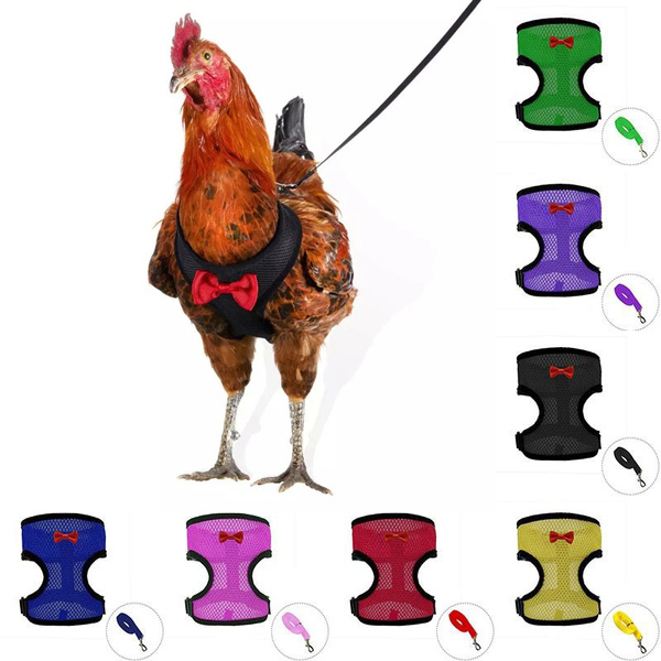 Pet Dog Chicken Harness Hen Size with 6ft Matching Leash Adjustable ...