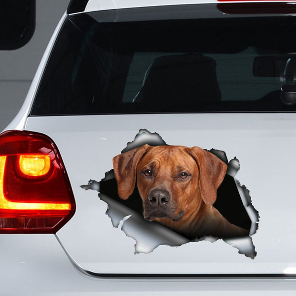 Rhodesian Ridgeback Car Decal Rhodesian Ridgeback Magnet Rhodesian ...