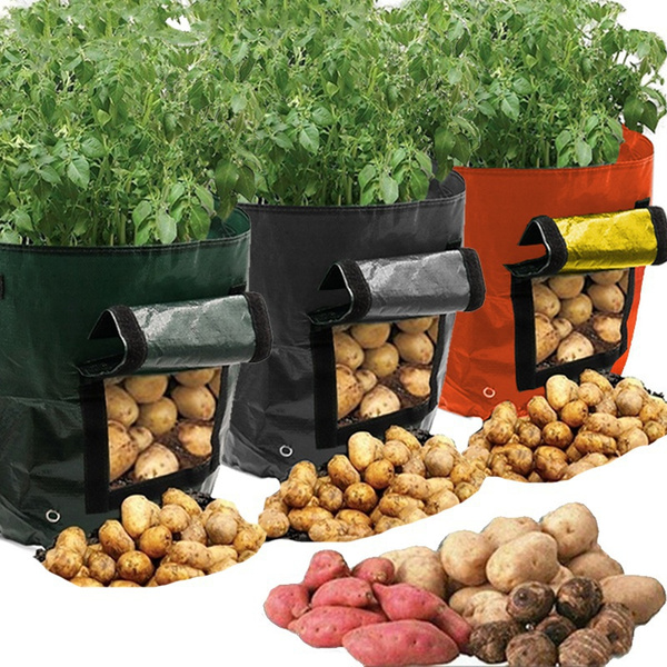 2021 Potato Planter Bags for Growing Potatoes Outdoor Vertical Garden ...
