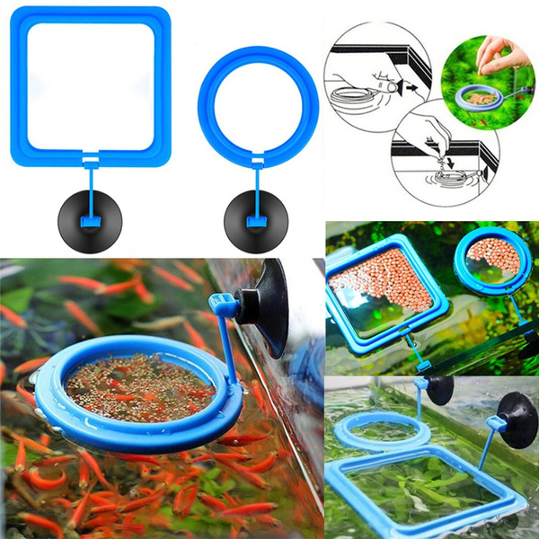 Aquarium Fish Feeding Ring Fish Tank Station Floating Food Tray ...