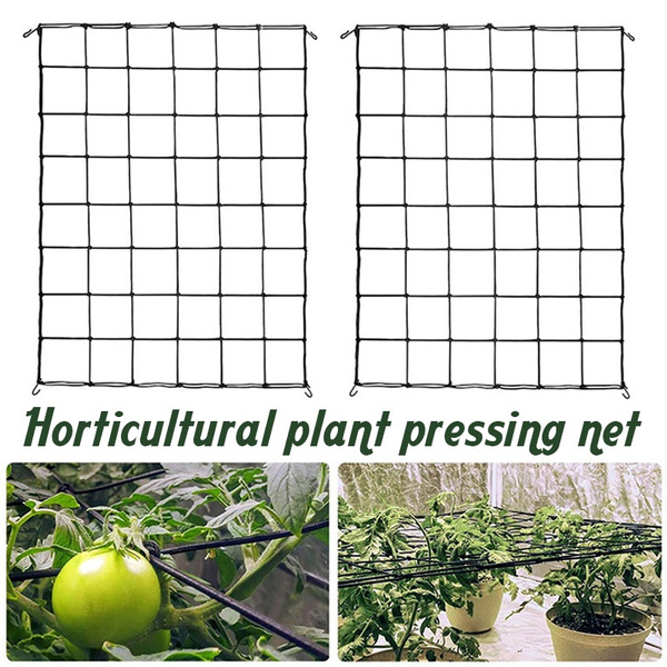 Flexible Net Trellis 1 Pack Elastic Trellis Netting Flexible Trellis ...