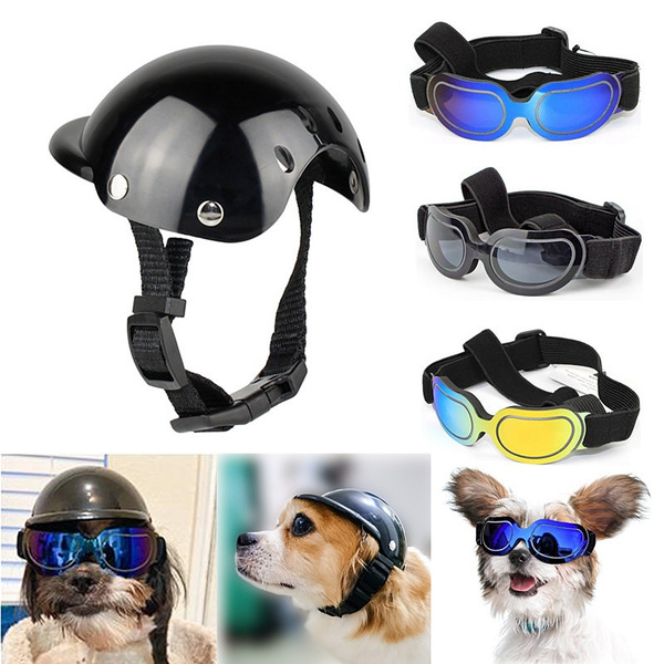 Pet Safety Suit Motorcycle Dog Helmet with Sunglasses Cool Fashion Dogs ...