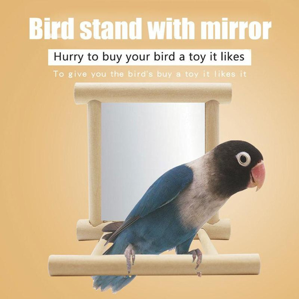 Pet Bird Mirror Wooden Play Toy with Perch for Parrot Parakeets ...
