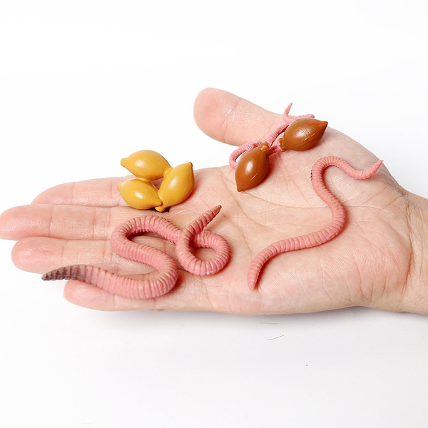 Realistic invertebrate The Life Cycle of an Earthworm pvc Action figure ...