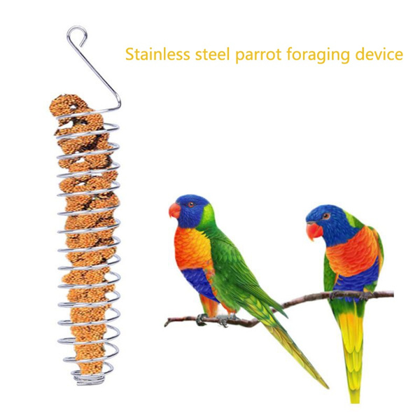 Stainless Steel Bird Parrot Feeder Food Fruits Basket Holder Foraging ...