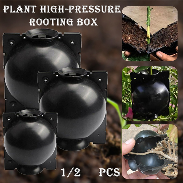 1/2 PCS Plant Root Growth Box Grafting Rooting Ball Gardening Plant ...