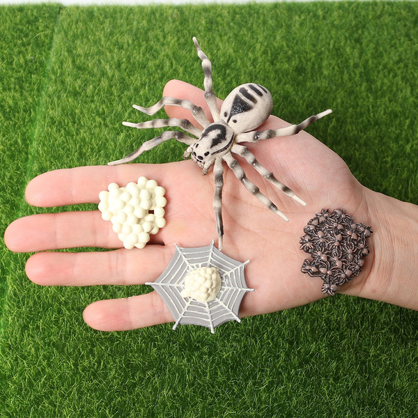 Plastic Simulation Animals Model Giant Spider Life Cycle of a Tarantula ...