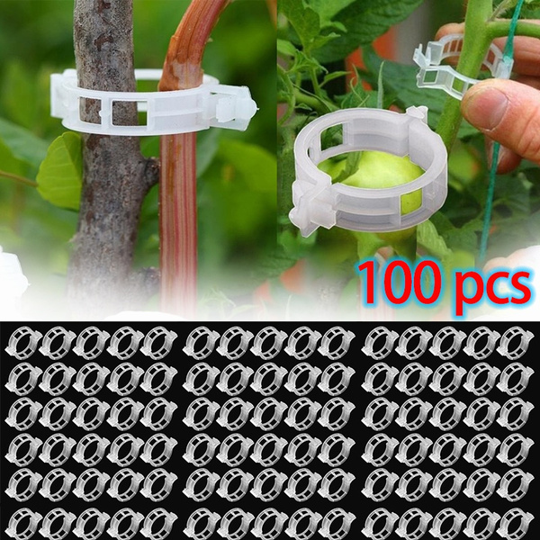 100pcs Trellis Tomato Clips - Vineyard Fruit Grower Planting Tools ...