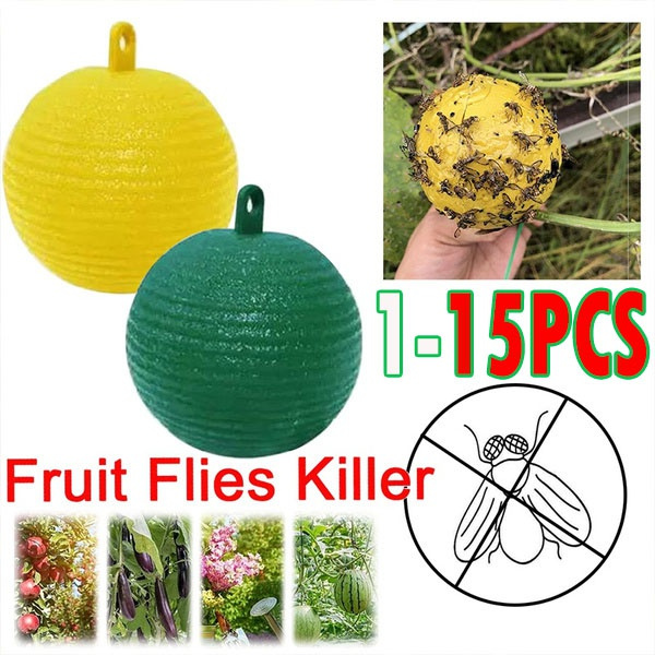 1~15PCS Hanging Fly Trap Ball Fruit Fly Catcher Sticky Trap Fly Outdoor ...