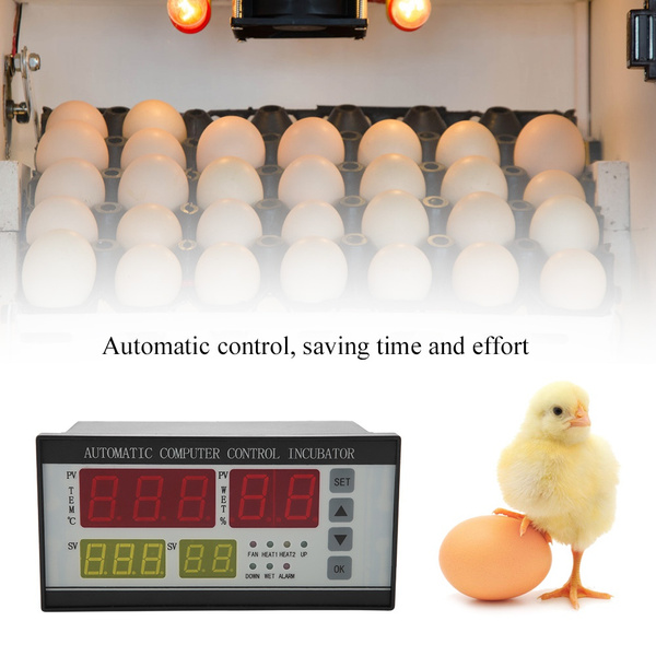 Incubator Controller, Chicken Incubator Automatic Incubator Controller ...