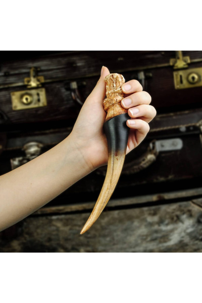 Basilisk! This tooth with the power to destroy horcruxes is now its ...