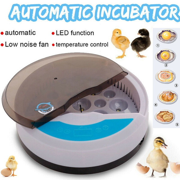 Temperature And Humidity Control Egg Incubator Automatic Digital Egg Hatcher For Home Farm