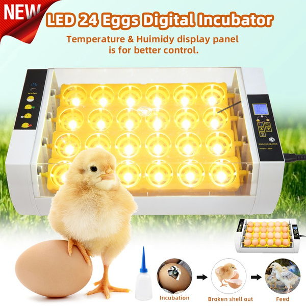 New 24 Egg Fully Automatic Incubator Chick Brooder Hatchery Poultry ...