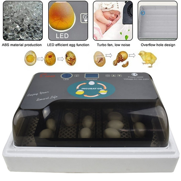 High-performance Egg Incubator with LED Light 12 Egg Hatcher Chicken ...