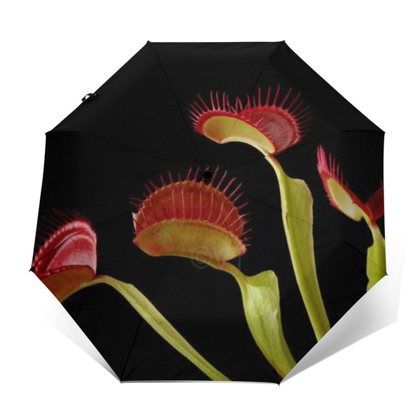 Instant Download Printable - Carnivorous Plant Venus Fly Trap Flower ...