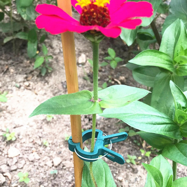 40PCS Reusable Plant Clips Gardening Clips Supporting Stems Stalks And ...