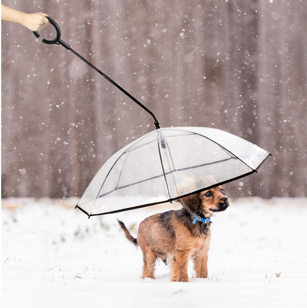 Transparent Umbrella for Dog Outdoor Tool Pets Walking In Rainy Day Pet ...