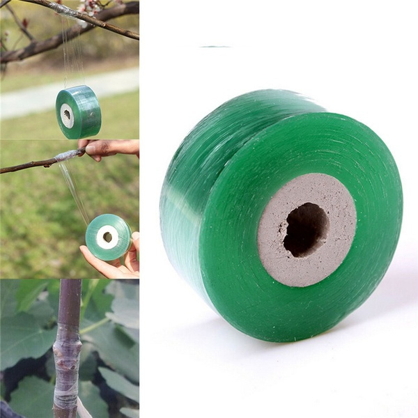 Delysia King Nursery grafting tape stretches from sticky garden trees ...