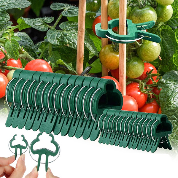 Grafting Clips Greenhouse Clamp Stand Plastic Plant Clip Fastener ... Grafting Clips Greenhouse Clamp Stand Plastic Plant Clip Fastener ...