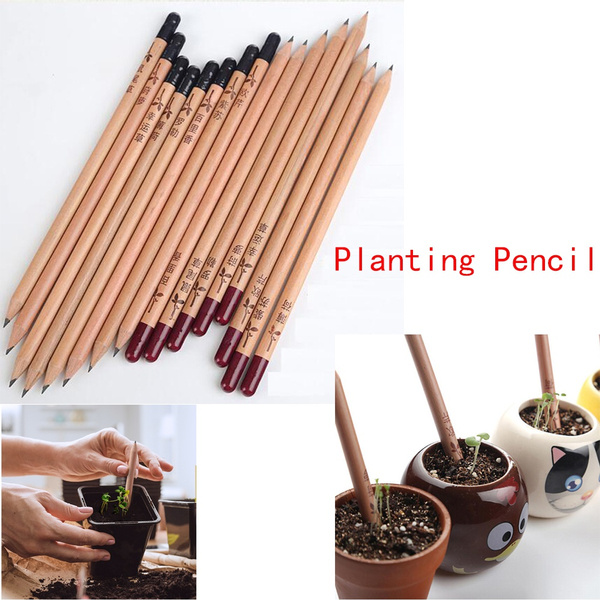Idea Germination Pencil Set To Grow Pencil Mini DIY Desktop Potted ...
