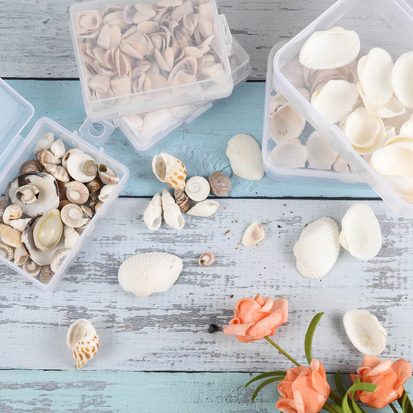 Mix Natural Sea Shells Conch Coquillage Beach Decor Craft Diy Marine ...