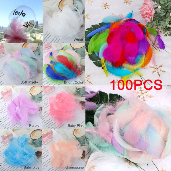 100 PCS Natural Swan Feather 4-8cm Colorful Color Swan Feather Home ...