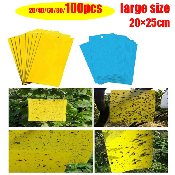 100pcs 20×25cm Sticky Trap Flying Insect Sticky Gnat Catcher Dual-Sided ...