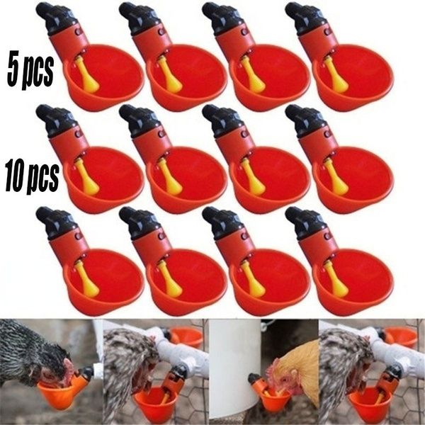 Chicken Drinking Cup Automatic Drinker Chicken Feeder Plastic Poultry ...