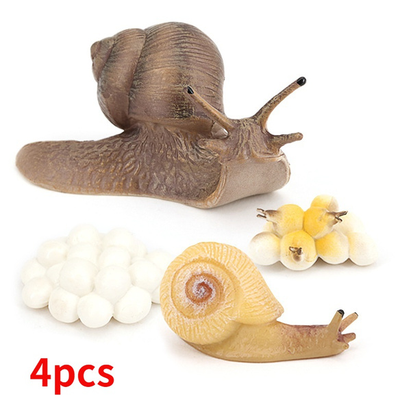 Realistic Snail Growth Cycle Figure Animal Model Life Cycle of Snail ...