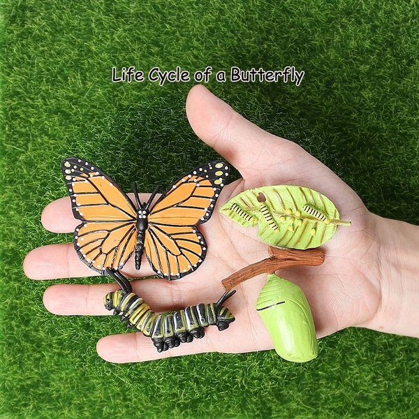Simulation Life Cycle Figurine of A Monarch Butterfly Growth Cycle ...