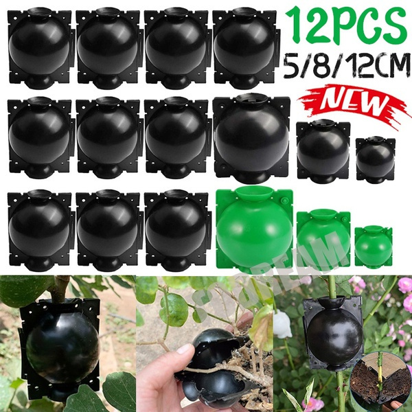 1/6/12PCS 5/8/12CM Plant Rooting Ball Breeding Case Grafting Rooting ...