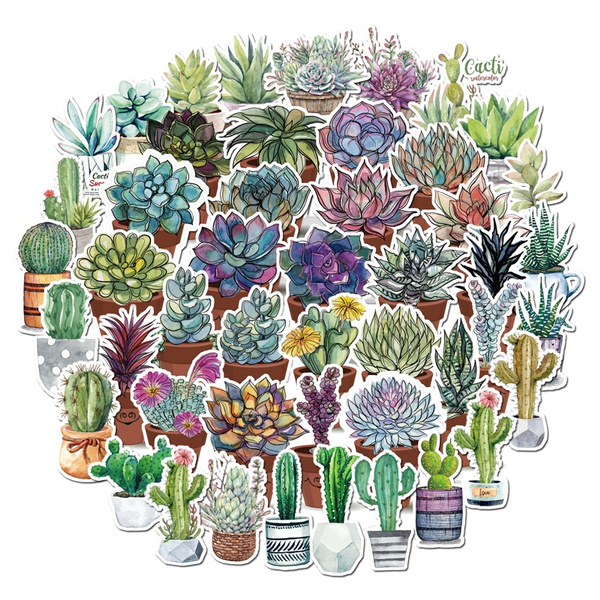 100pcs Succulents Stickers Pack for Laptop Water Bottles Luggage Fridge ...