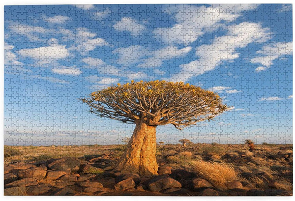 1000 Pieces Jigsaw Puzzles,Quiver Trees Namibia,Large Picture Puzzle ...