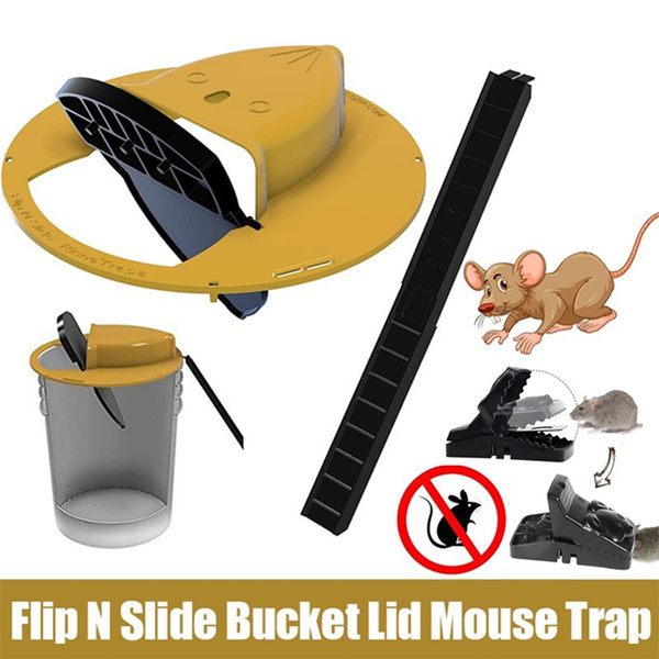 2Types Flip N Slide Bucket Lid Mouse/Rat Trap |Humane Or Lethal| |Trap ...