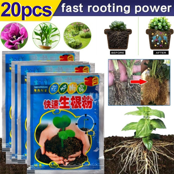 Fast Rooting Powder Bonsai Plant Growth Regulator Hormone Growing Root ...