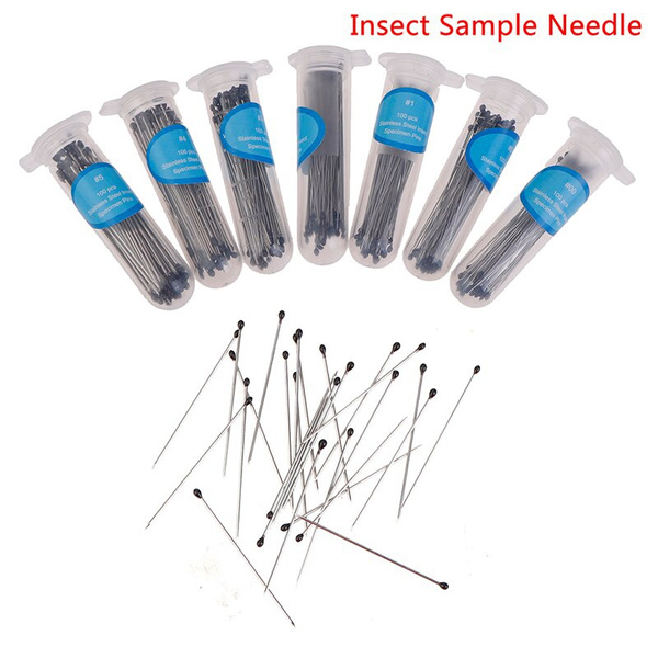 100 Pieces of Stainless Steel Plastic Head Insect Needle Specimen ...