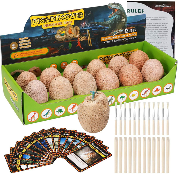 Dino Egg Dig Kit-12 Dinosaur Eggs Dino Egg Excavation Kit for Dinosaur ...