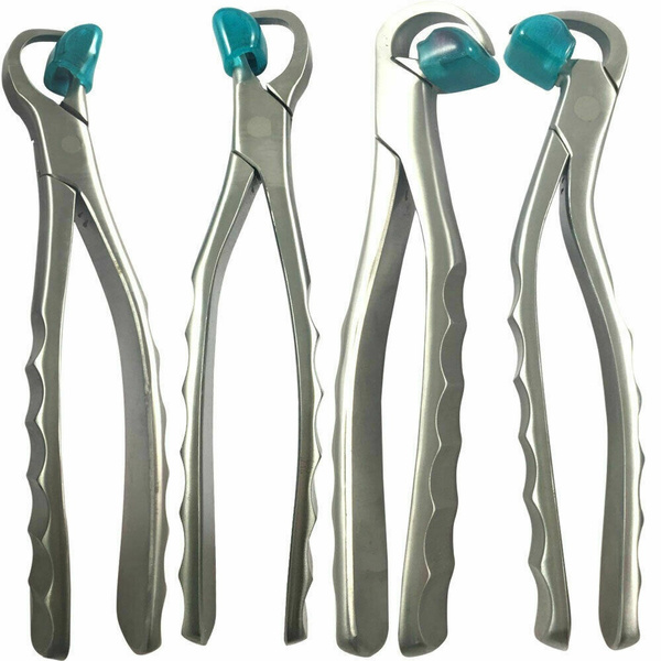 Authentic Physics Forceps Set of 4 Pcs Extraction Forceps | Wish