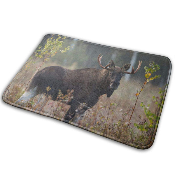 Mammal of Bull Moose Bath Mat Polyester Front Door Mat Bathroom Rugs ...