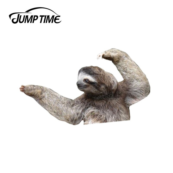 13cm x 7.5cm Sloth window sticker car sticke sloth car decal Vinyl ...